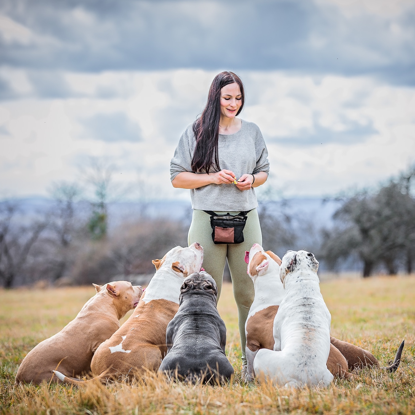 O plemeni | Complete Bullies - Elitní chov American Bully XL